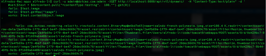 Image fields don't work in velocity with dotAssets · Issue #22704 · dotCMS/core · GitHub