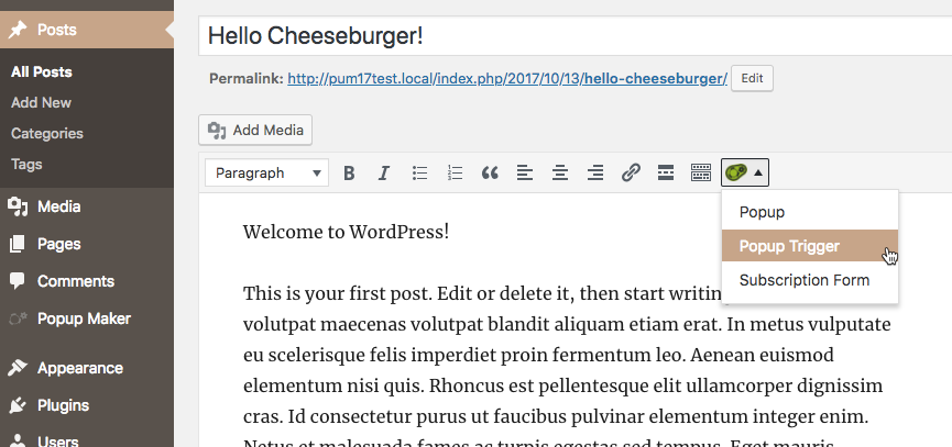 Popup Trigger Shortcode does not work properly when setting up in a post · Issue #503 ...