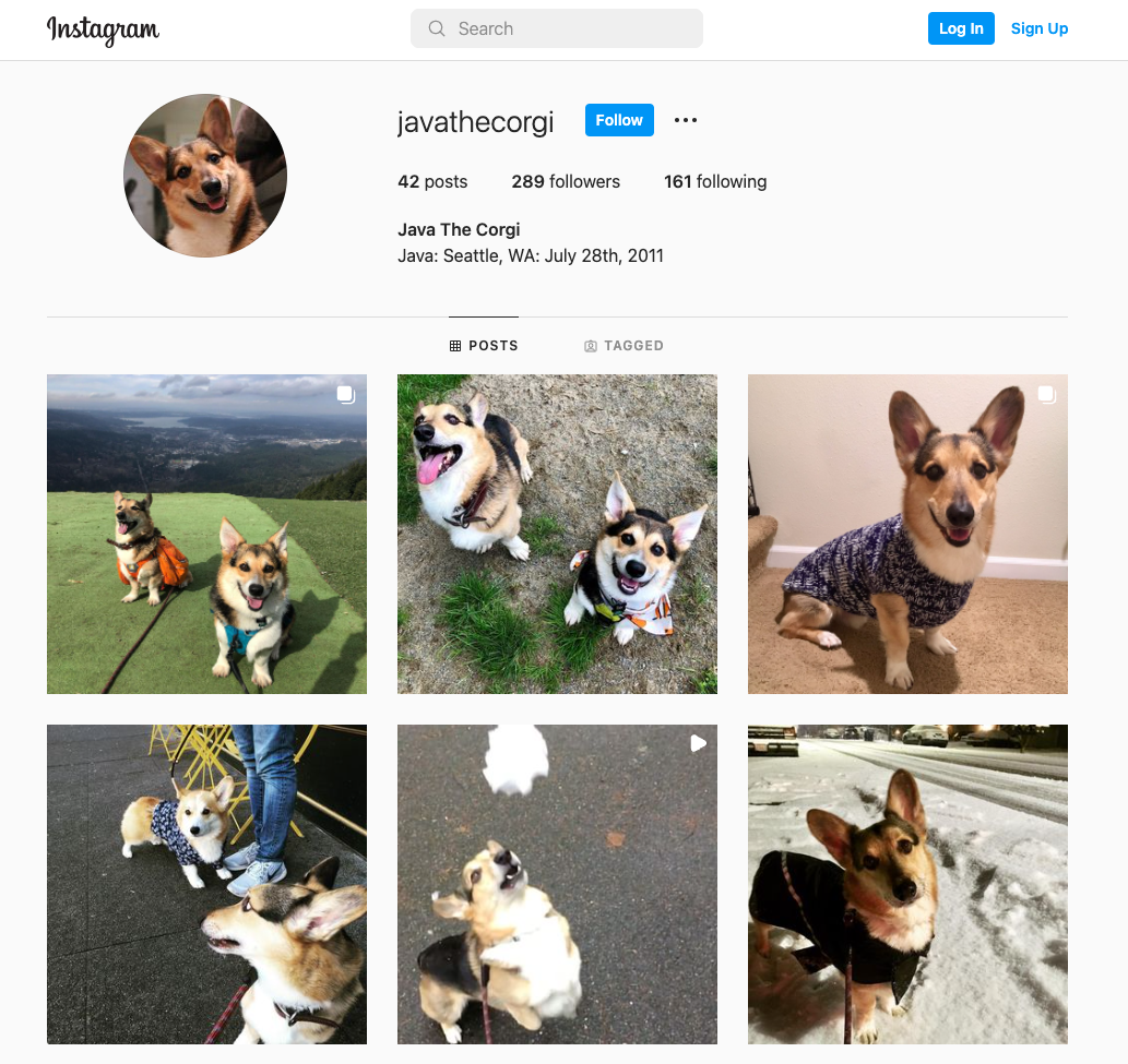 GitHub - Mike-Tran/instagram_clone_frontend