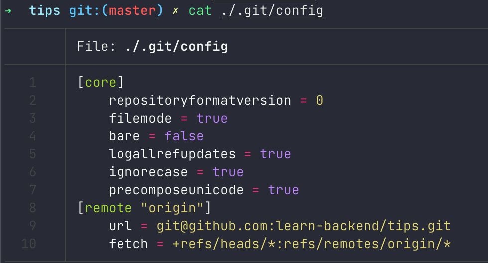 GitHub - learn-backend/tips