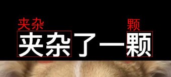 检测器漏检”一“，”了“等简单字符 · Issue #449 · chineseocr/chineseocr · GitHub