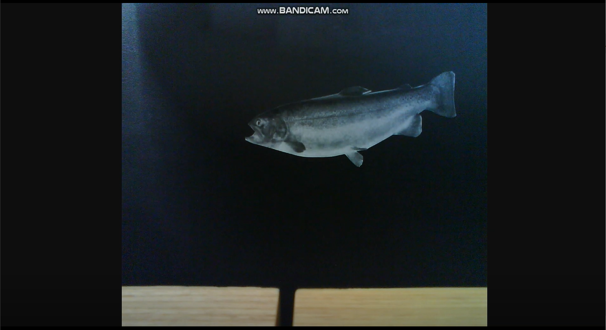 GitHub - jmini1234/centras_web: 졸업프로젝트 CENTRAS 웹 서버 및 프론트