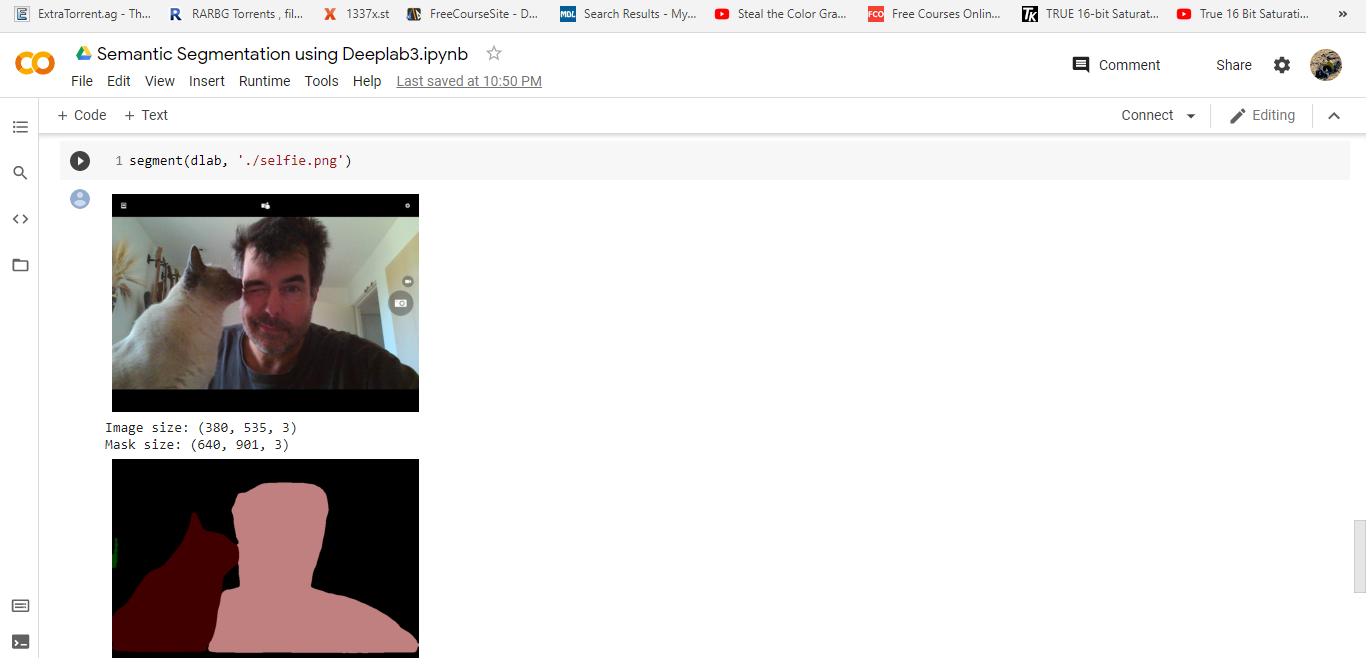GitHub - proy9714/Semantic-Segmentation: Files implementing semantic segmentation using the ...