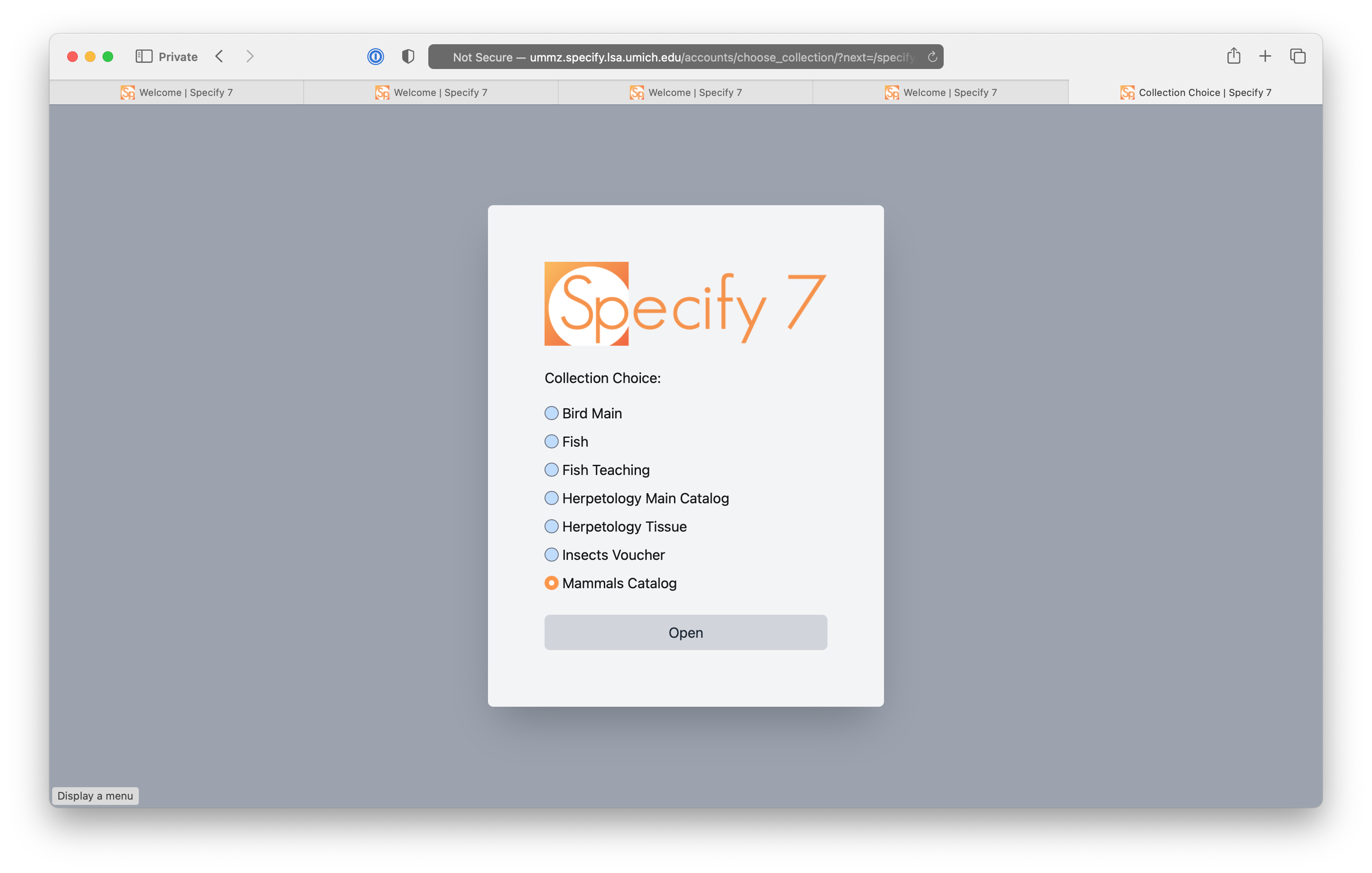 Collection List Should Have A Scrollbar At All Times Issue 2588 