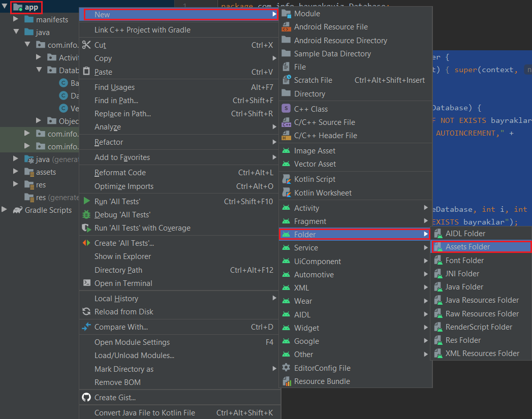 GitHub - mehmetaydintr/Bayrak_Quiz_App