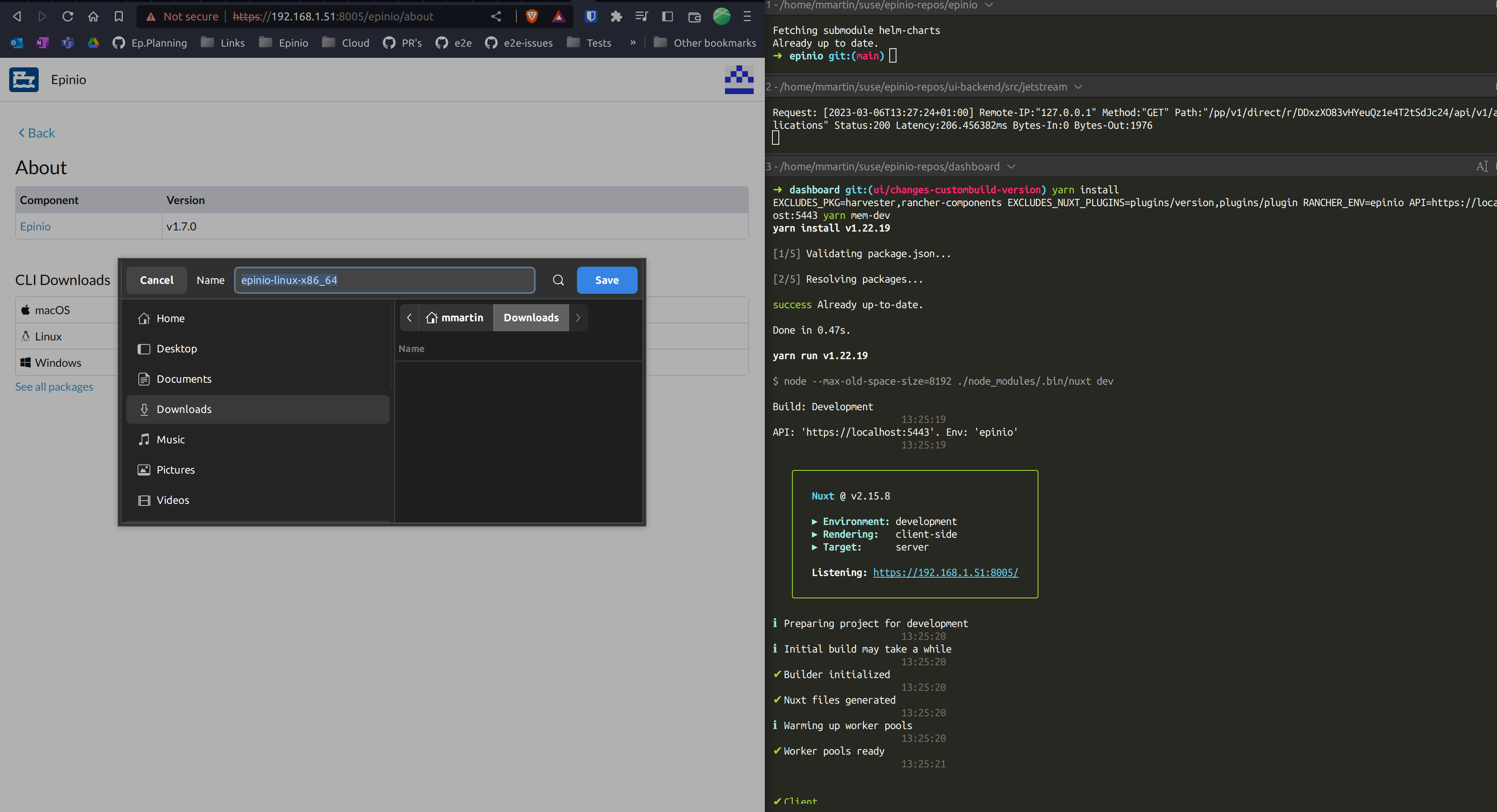 V150 → V160 When Custom Build · Issue 188 · Epinioui · Github