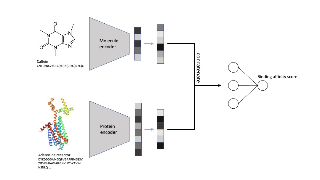 GitHub - jonghyunlee1993/DLM_DTI