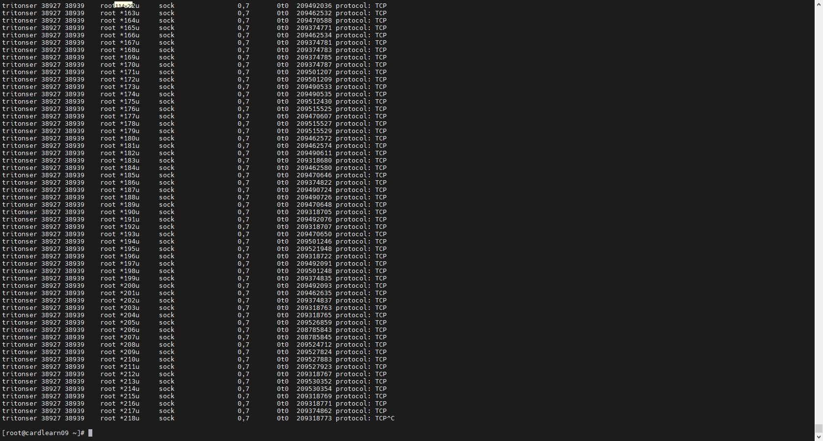 TCP port was full and the triton server could not accept any request. · Issue #5316 · triton ...