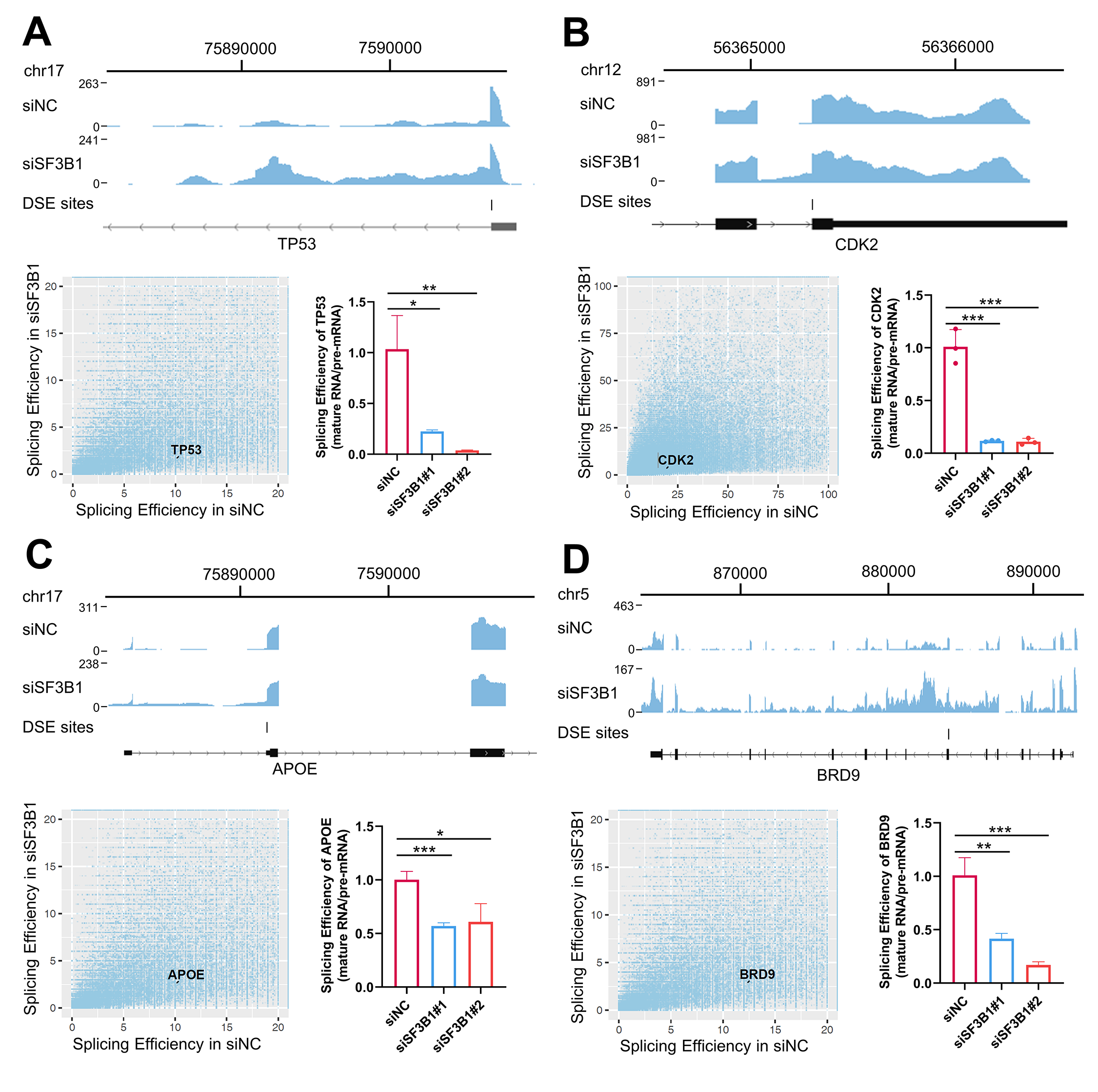 GitHub - PrinceWang2018/SEAA: Splicing Efficiency Analysis and Annotation