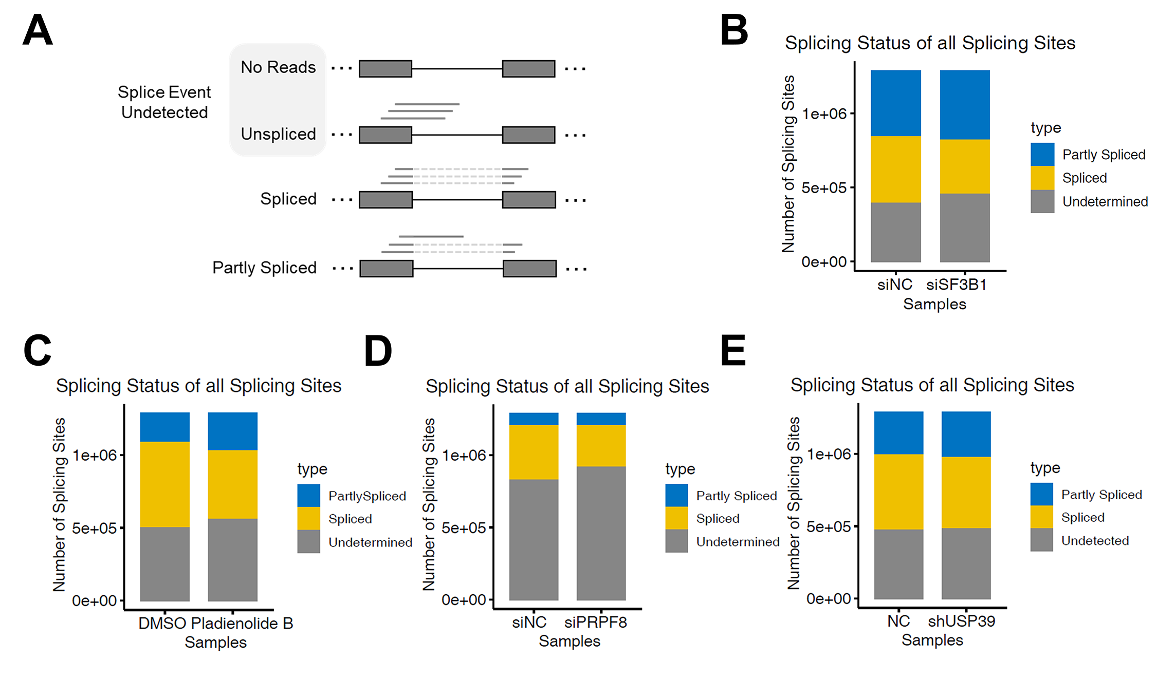 GitHub - PrinceWang2018/SEAA: Splicing Efficiency Analysis and Annotation