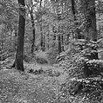 GitHub - deven299/colorAI: Automatic colorisation of grayscale images ...