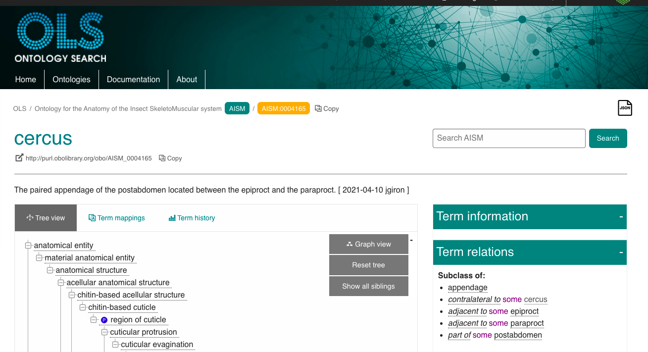 Issues with importing simplified version of AISM for order-specific insect ontologies · Issue ...