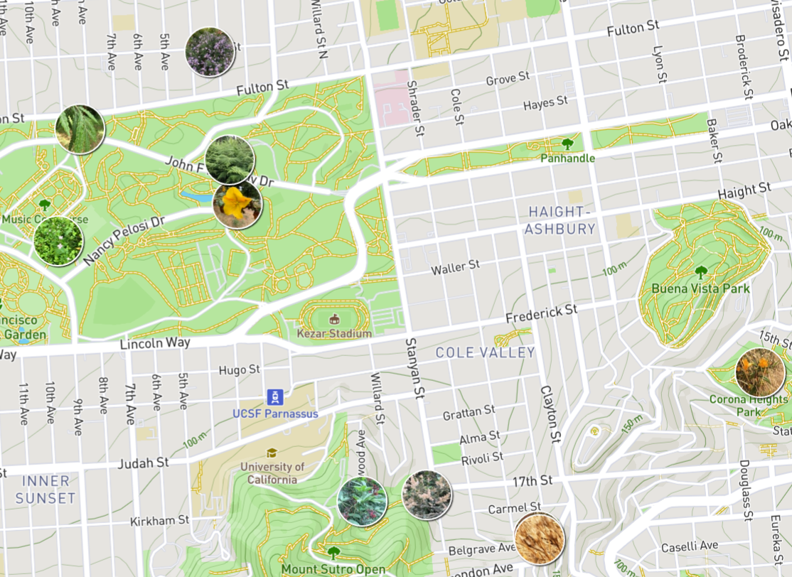 Add support for HTML markers · Issue #323 · mapbox/mapboxgl-powerbi ...