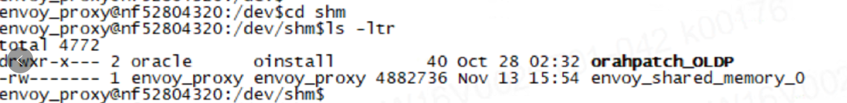 open /dev/shm some files error：permission denied · Issue #14057 · envoyproxy/envoy · GitHub
