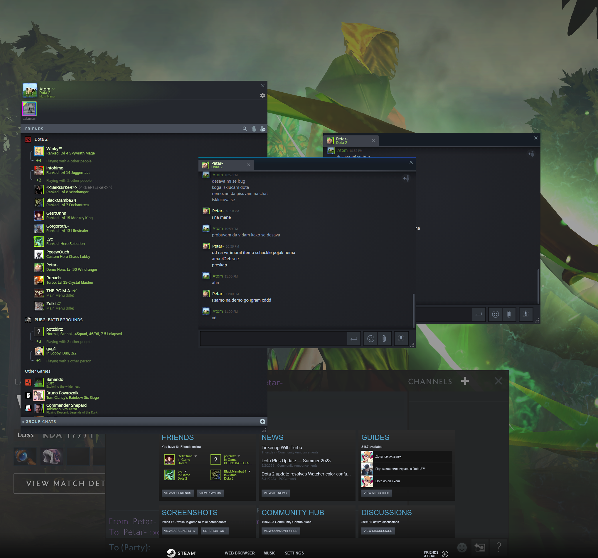 Dota 2 Whisper Feature Breaking · Issue 9672 · Valvesoftwaredota2 Gameplay · Github