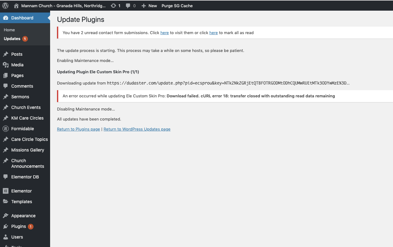 Update Error Please Help · Issue 67 · Dudaster Ele Custom Skin · Github