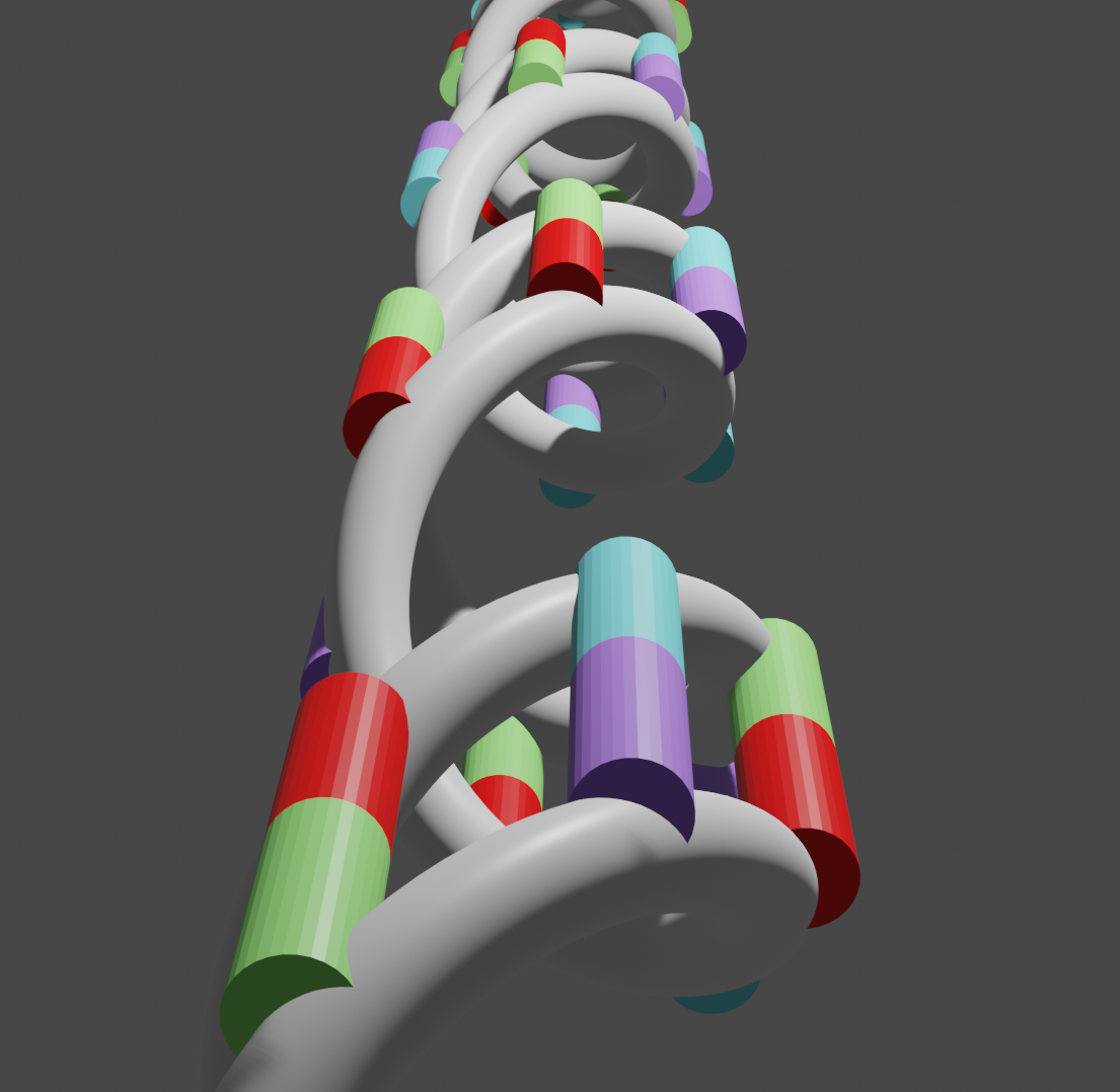 GitHub - bensmus/blender-random-dna: Creates a random DNA molecule in ...