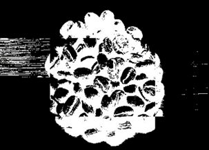 GitHub - sohailamahmoud/Computer_Vision_Tasks