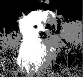 GitHub - sohailamahmoud/Computer_Vision_Tasks