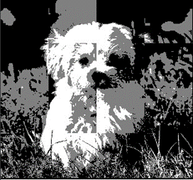 GitHub - sohailamahmoud/Computer_Vision_Tasks