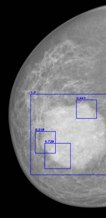 Is It Possible To Add Graphic Layer With Multiple Annotations · Issue