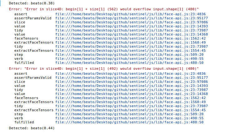 Uncaught (in promise) Error: Error in slice4D while running MtcnnFaceRecognitionWebcam · Issue ...