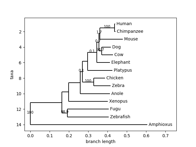 get_support function does not display branch supports for all · Issue ...