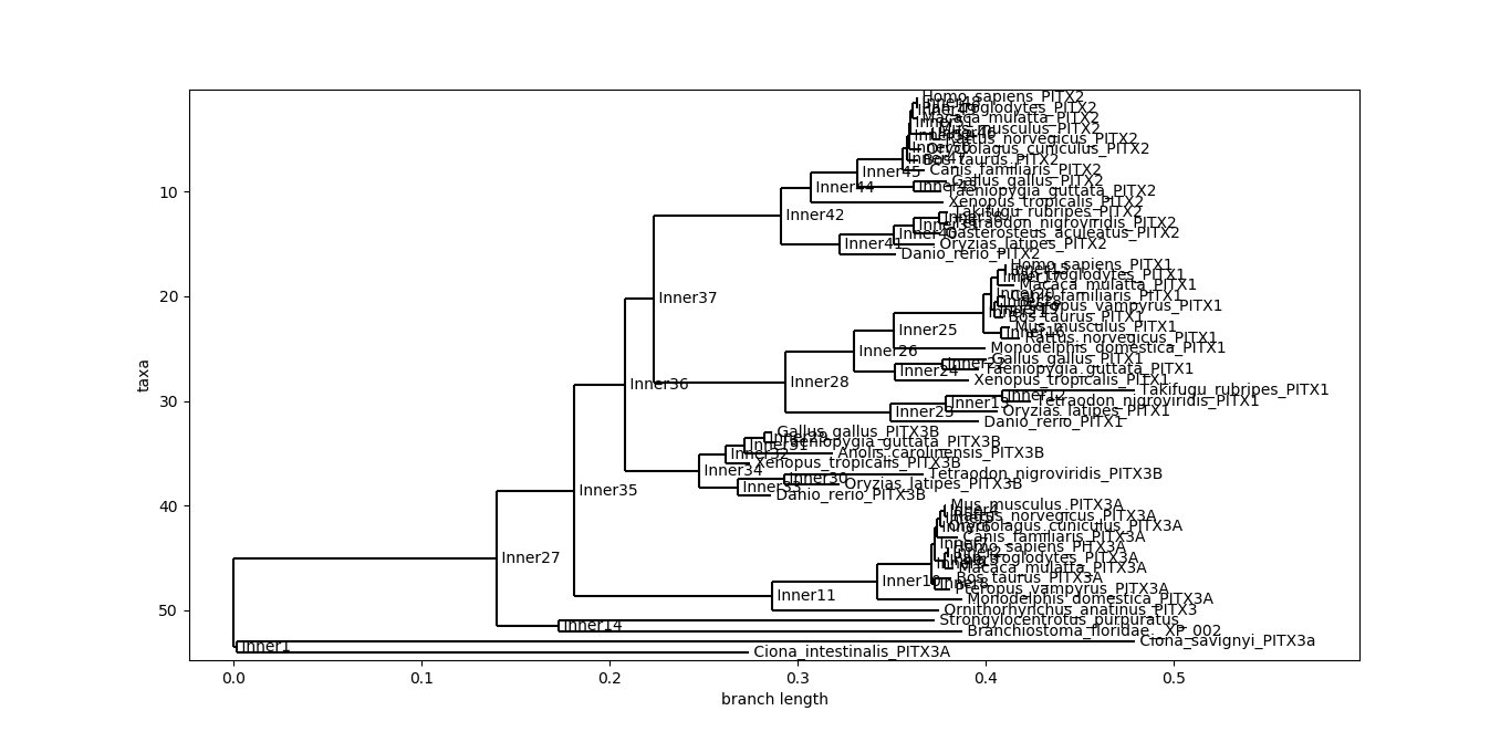 Getsupport Function Does Not Display Branch Supports For All · Issue 1887 · Biopython