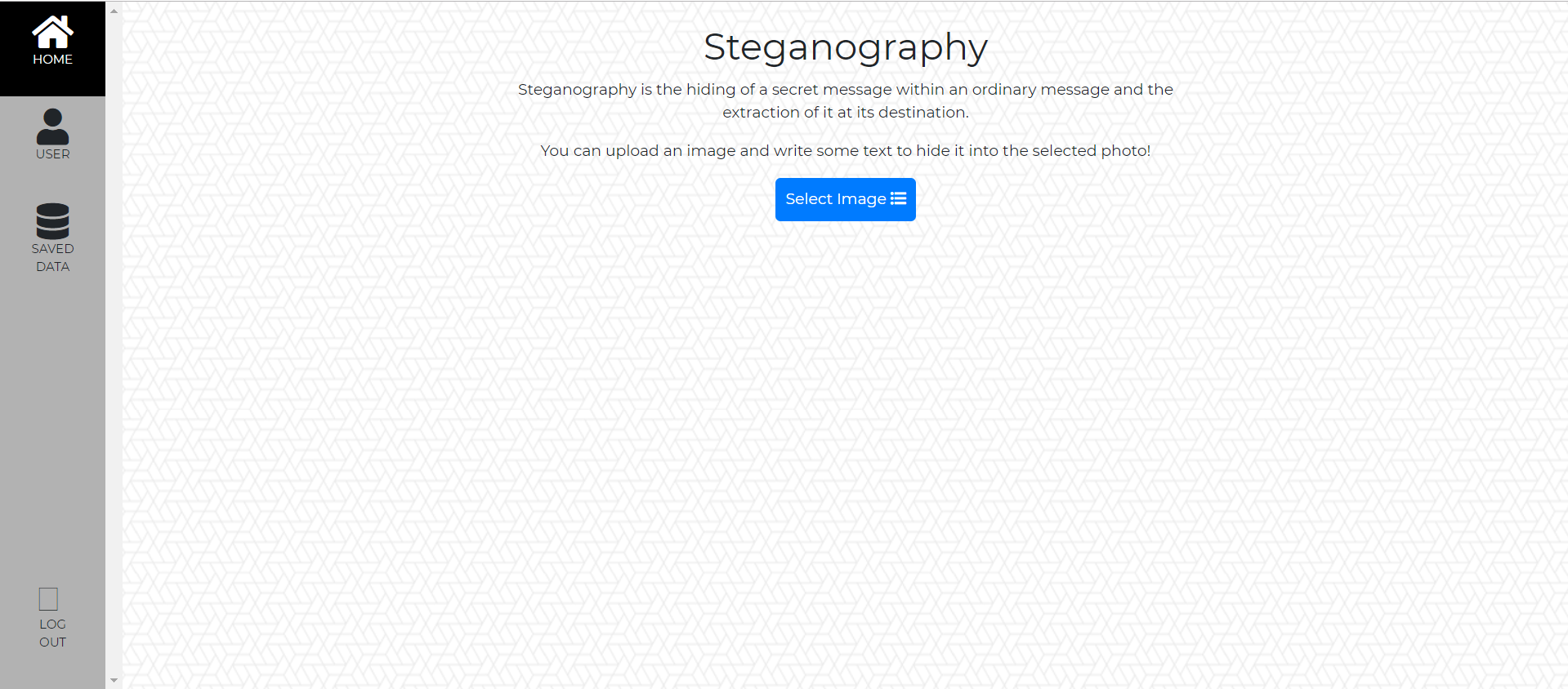 GitHub - uhajzeraj/stegano