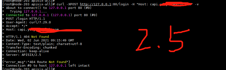 request help: apisix cannot use CORS plug-in after upgrading from 2.0 to 2.5 and partial route ...