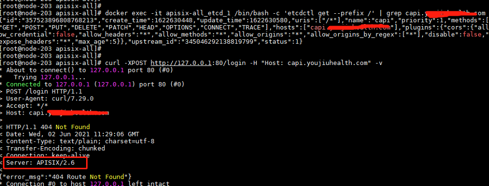 request help: apisix cannot use CORS plug-in after upgrading from 2.0 to 2.5 and partial route ...