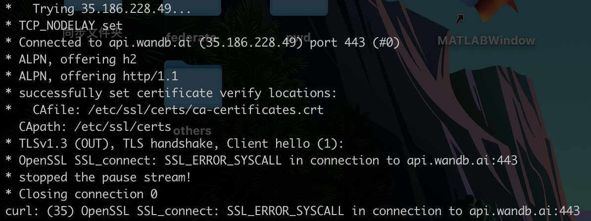 Got Wandb Network Ssl Error Error Even When I Run Wandb In Offline Mode · Issue 2798 · Wandb