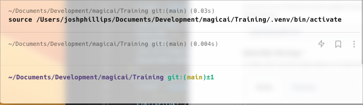 Venv Is Not Displayed After Activating The Python Virtual Environment · Issue 3148