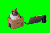 Kazuhito00/WORKS.md at master · Kazuhito00/Kazuhito00 · GitHub