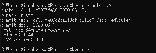 Cargo Newinit And Running This Makes Error Could Not Execute Process `rustc Vv` Never