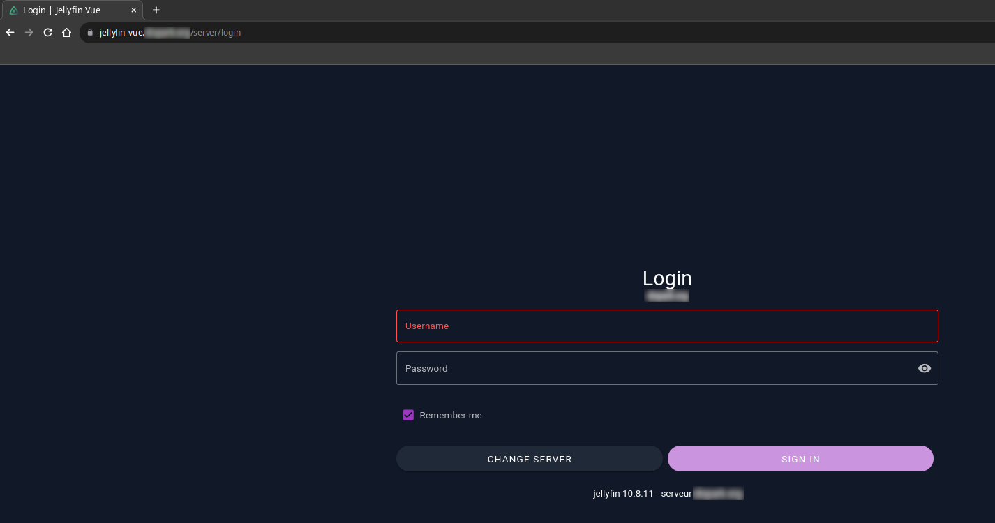 DEFAULT_SERVERS in docker container not taken at first site visit · Issue #2117 · jellyfin ...