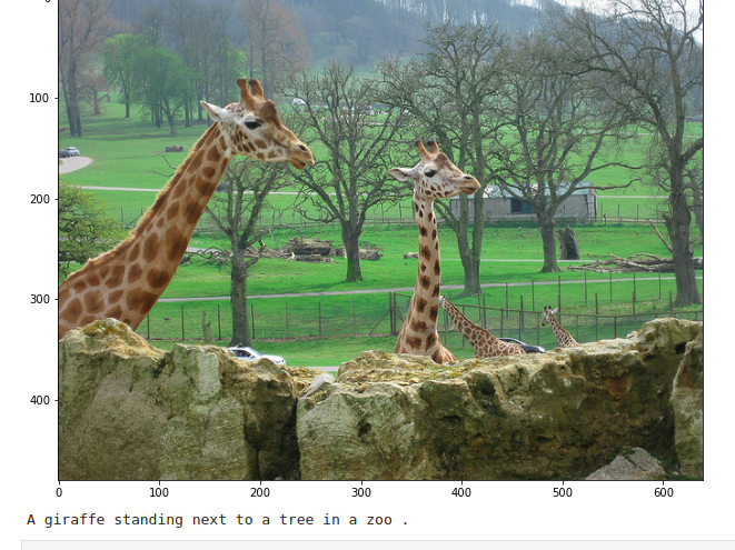 GitHub - Ben74x/Image-Captioning-on-MSCoco-Dataset