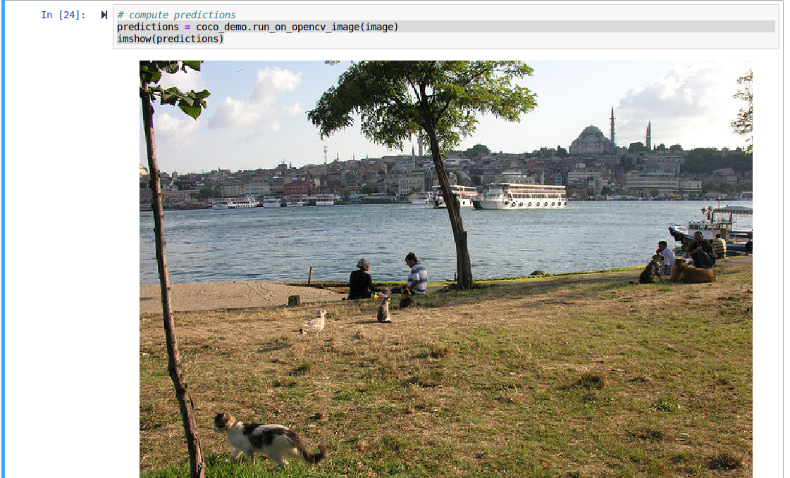 Running Mask_R-CNN_demo.ipynb can't get the right predictions · Issue #506 · facebookresearch ...