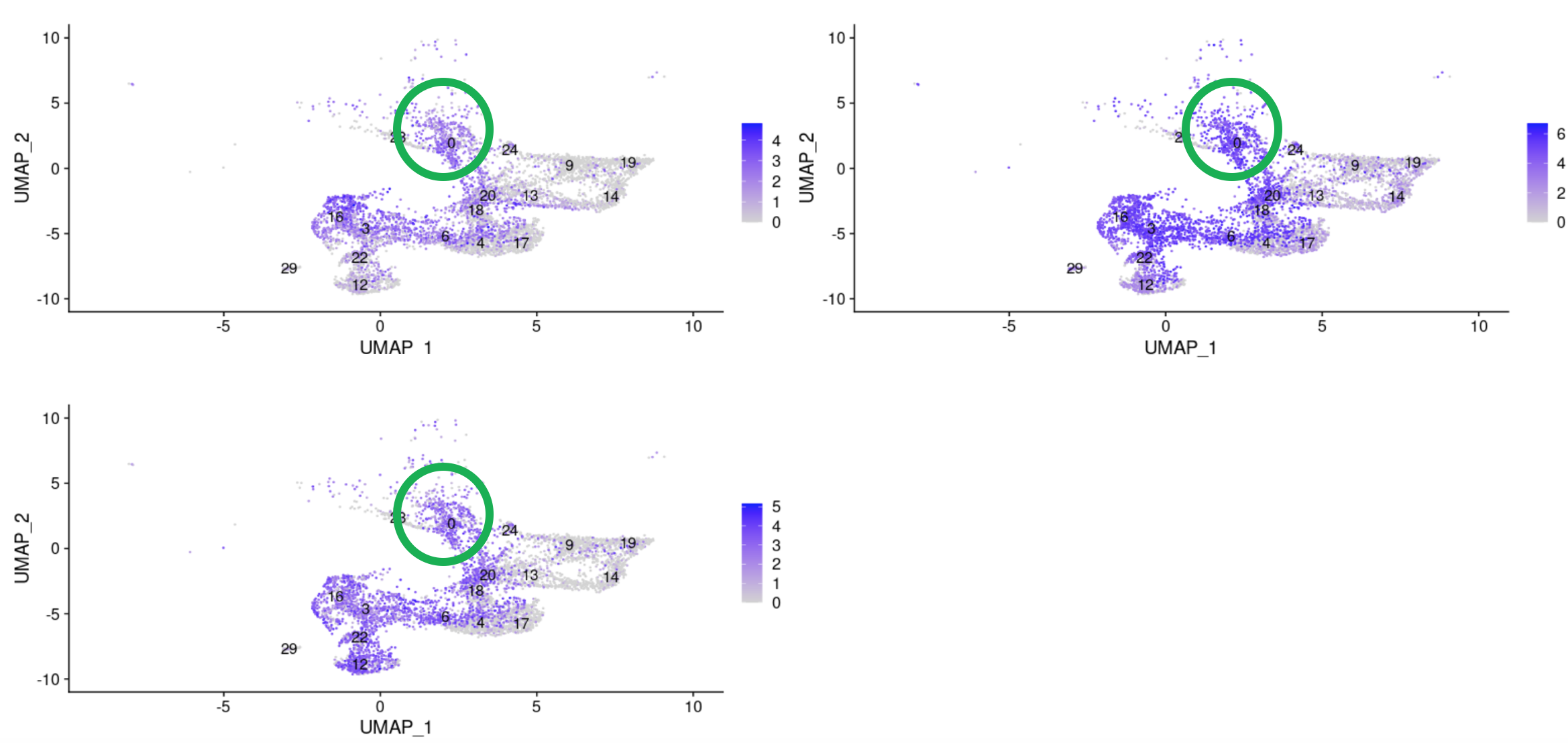 Heatmap expression values do not appear to match VlnPlot or FeaturePlot · Issue #3503 ...