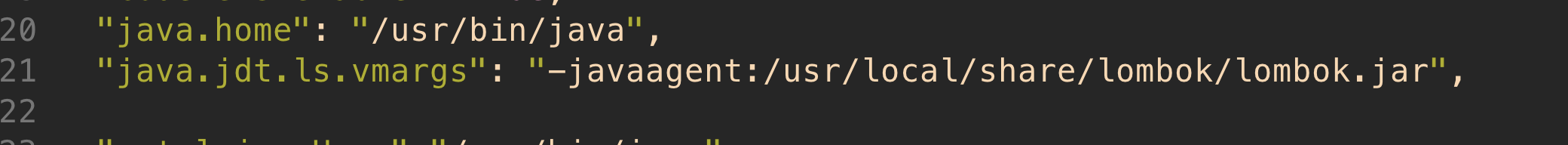 Can't detect OpenJDK java 11 · Issue #186 · neoclide/coc-java · GitHub