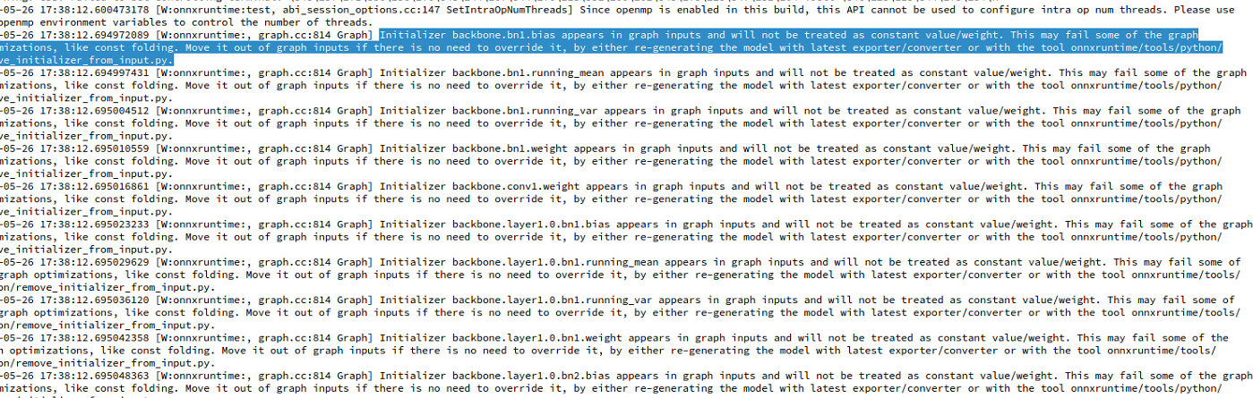 Initializer Appears In Graph Inputs And Will Not Be Treated As Constant Value Weight · Issue