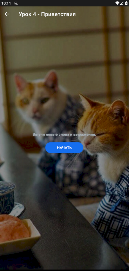 GitHub - NymiKo/Peil