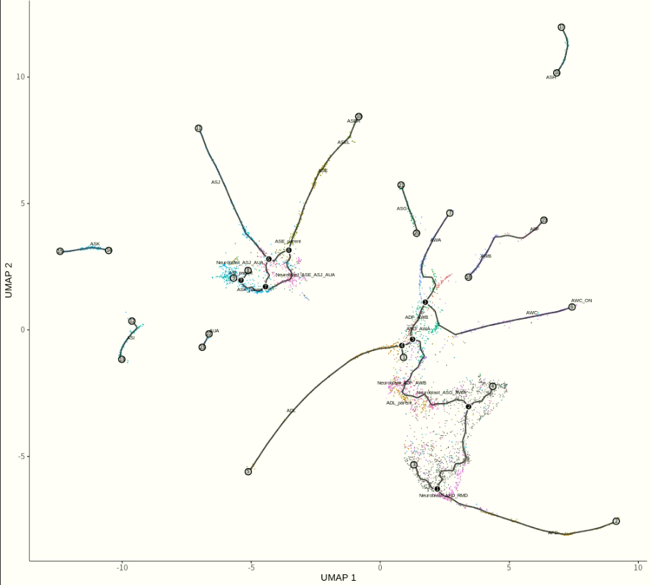 Trajectory tutorial UMAP and my UMAP are different. · Issue #389 · cole ...
