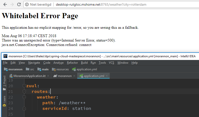 Zuul Forwarding Error although Eureka instances are up · Issue #3120 · spring-cloud/spring-cloud ...