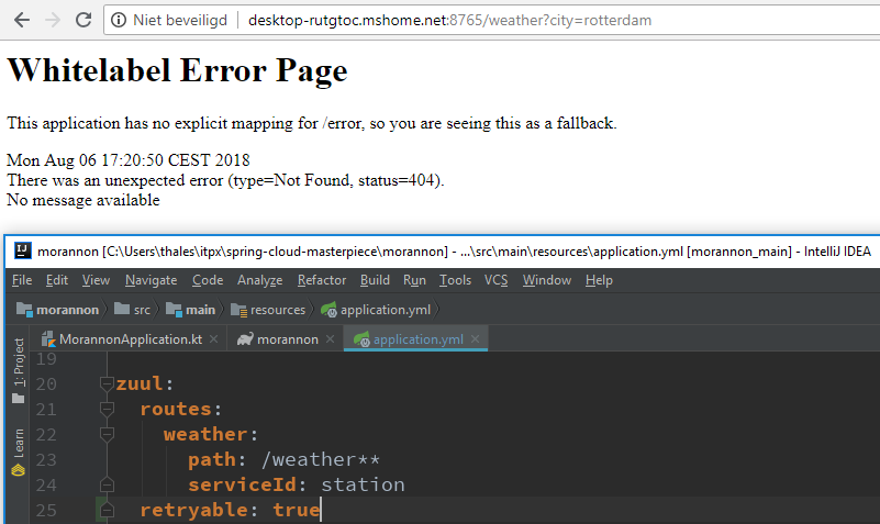 Zuul Forwarding Error although Eureka instances are up · Issue #3120 · spring-cloud/spring-cloud ...