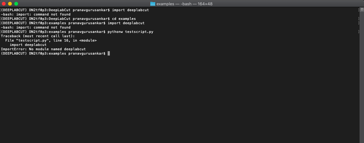 Cannot check deeplabcut version, "import deeplabcut" cannot execute · Issue #1413 · DeepLabCut ...