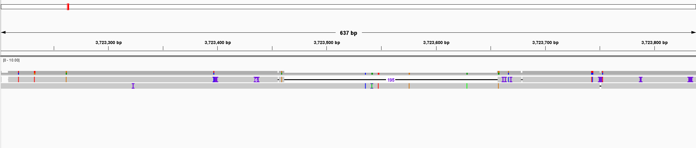 Question about the result · Issue #19 · xjtu-omics/SVision · GitHub