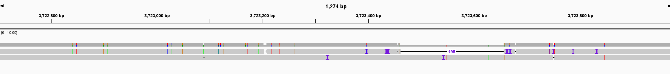 Question about the result · Issue #19 · xjtu-omics/SVision · GitHub