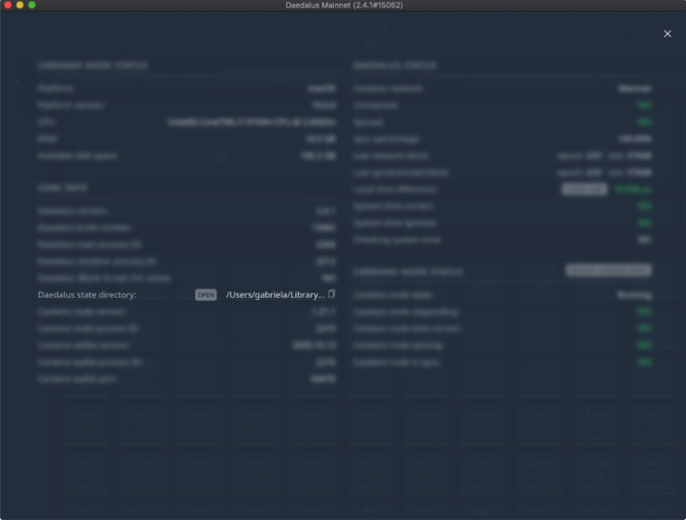 My stake pool doesnt show in daedalus · Issue #2343 · input-output-hk/daedalus · GitHub