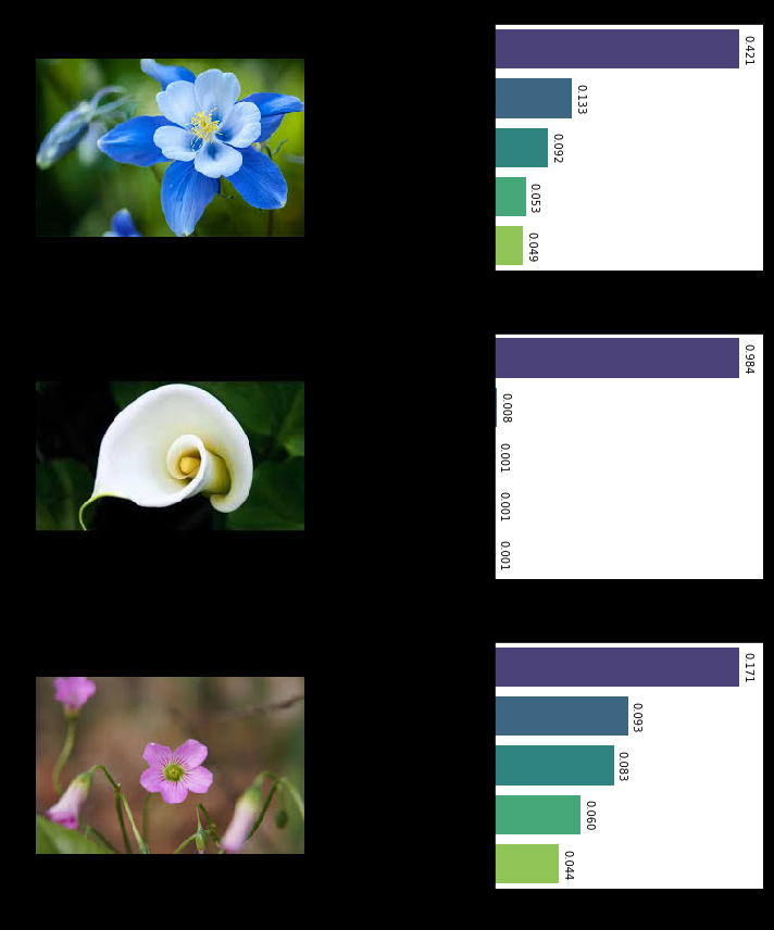 GitHub - ardbramantyo/flower-classifier